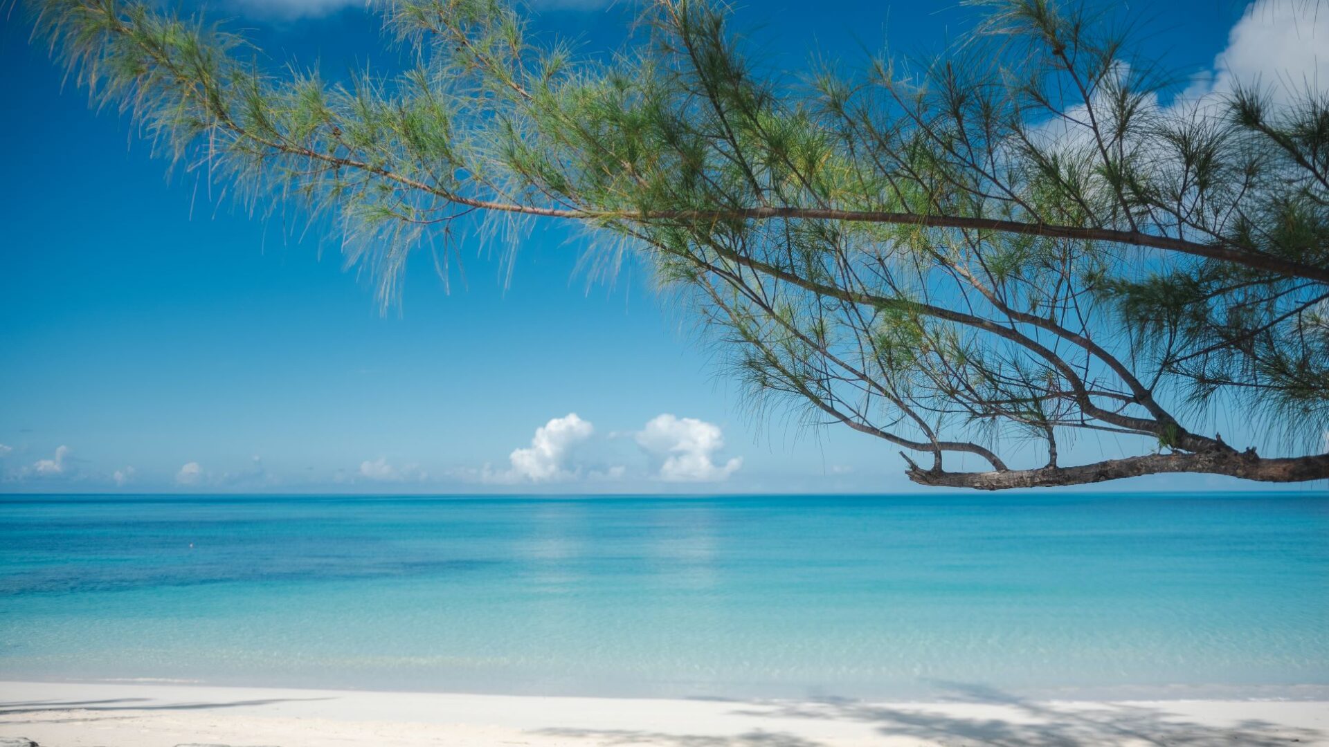 Date una escapada a Las Bahamas - Clase Turista