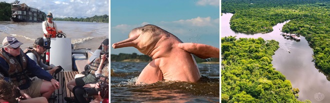 5 Animales que sólo puedes ver en el Amazonas del Perú - Clase Turista