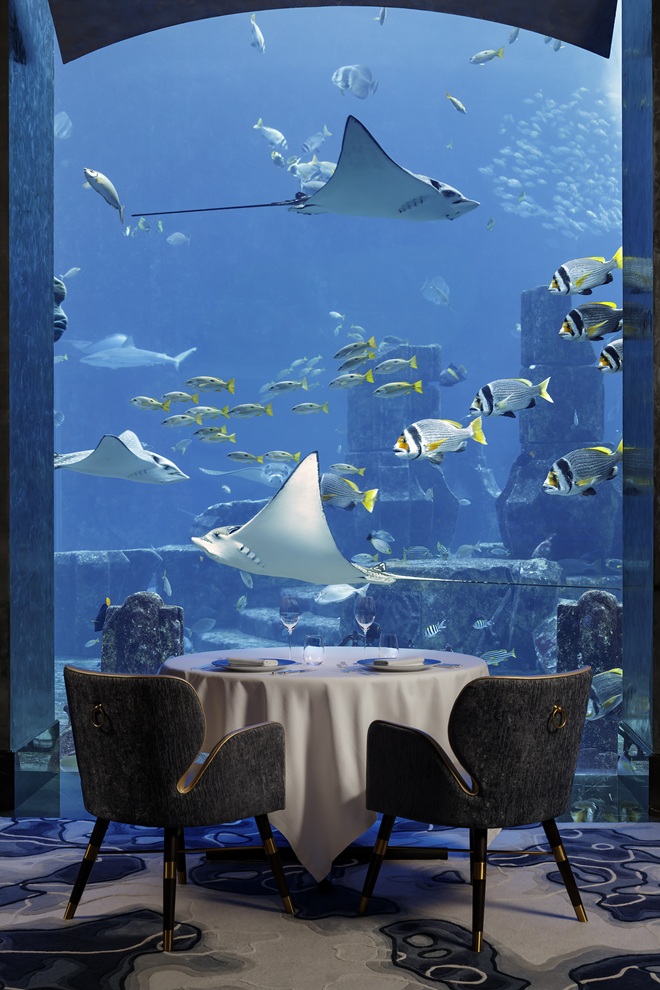 Ossiano Dubai, el restaurante submarino de estrella Michelin que debes ...